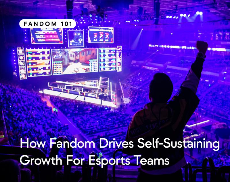 How Fandom Drives Self-Sustaining Growth For Esports Teams | bemyfriends